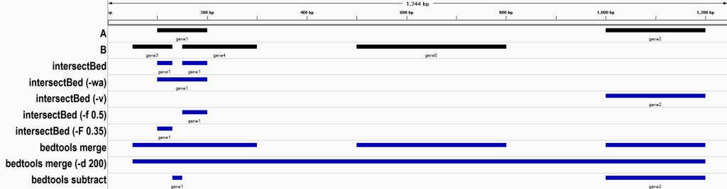 掌握 BED 文件集合操作 | Bedtools 基础操作指南